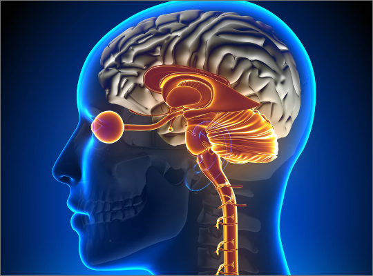 Brainspotting : Advanced Mind Body Therapy for Trauma & PTSD